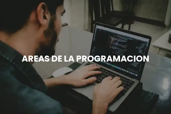 Ramas De La Programacion