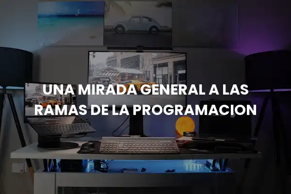 Ramas De La Programacion